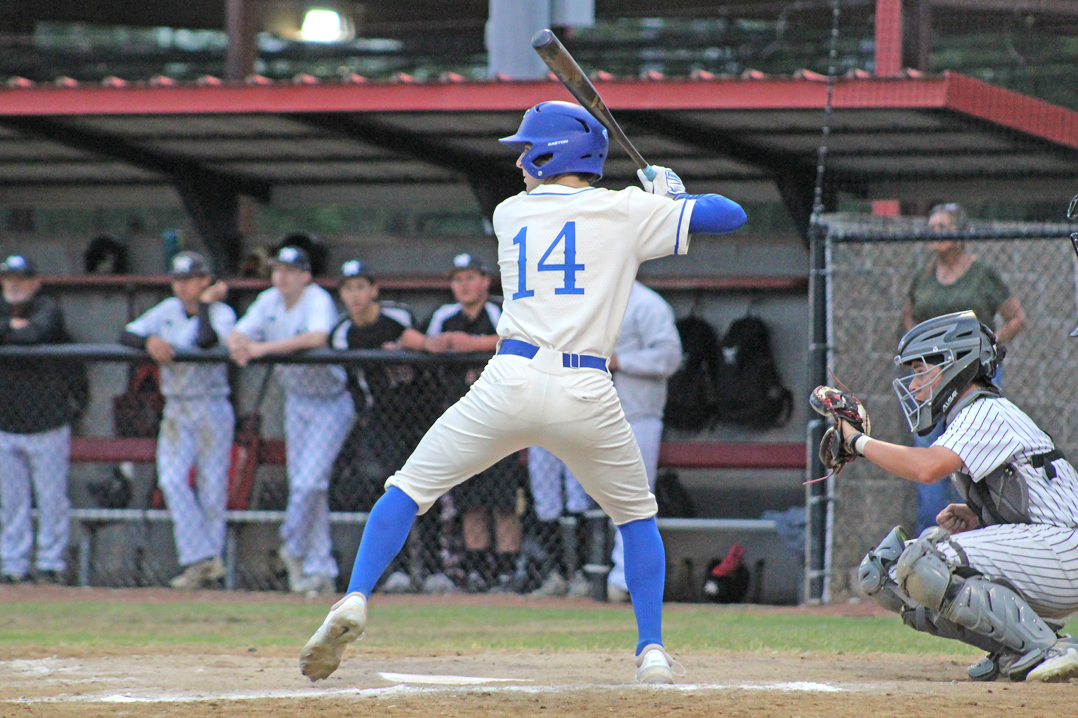 Steers’ season ends with 4-2 loss to Rams - NewsBreak