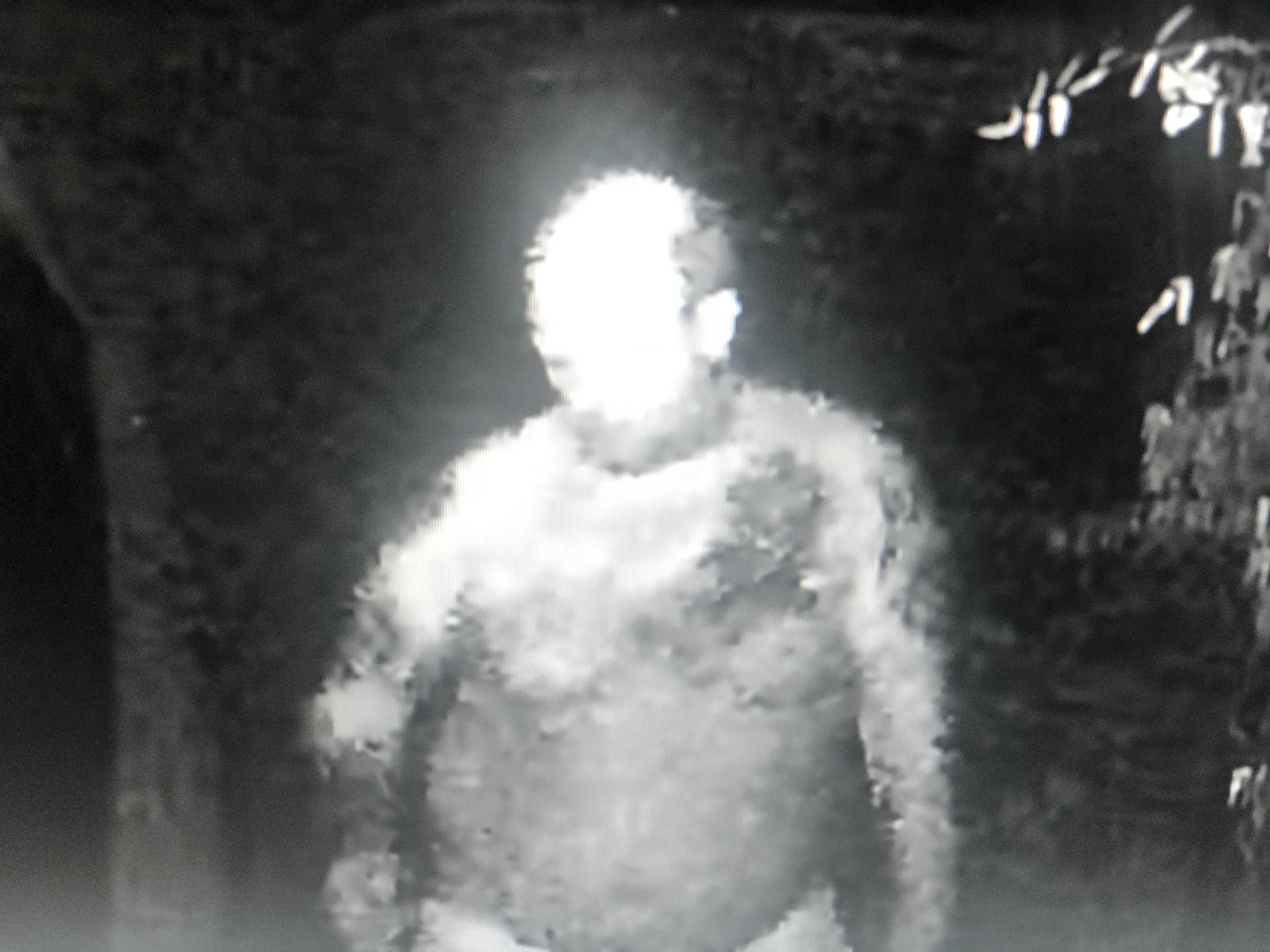 UPDATE: Suspect on the run after late-night murder in Graham | The ...