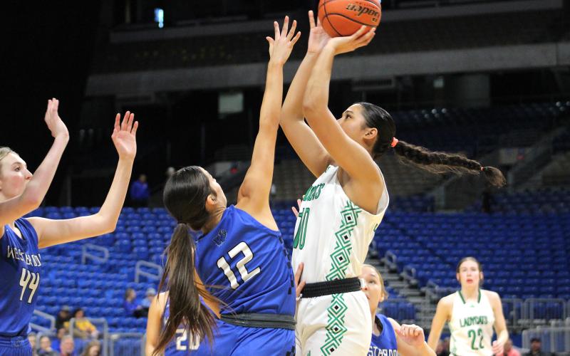 Ladycats blow out Westbrook, heading to 1A championship | The Graham Leader