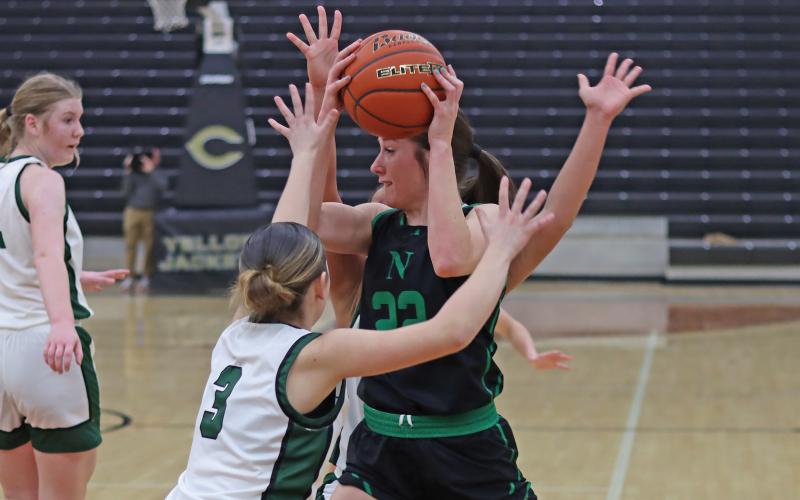 Ladycats’ season ends in regional finals | The Graham Leader