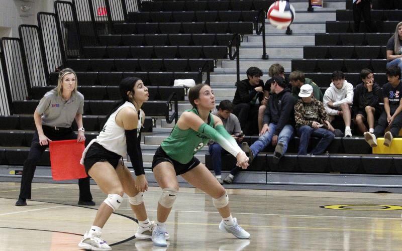 Ladycats’ season ends in area against Harrold | The Graham Leader