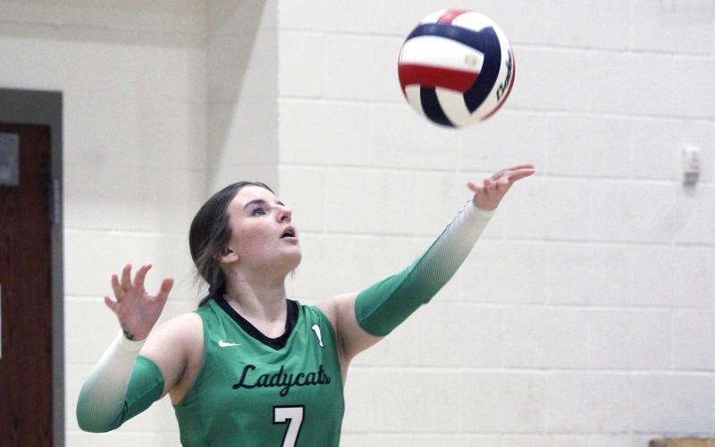 Ladycats’ season ends in area against Harrold | The Graham Leader