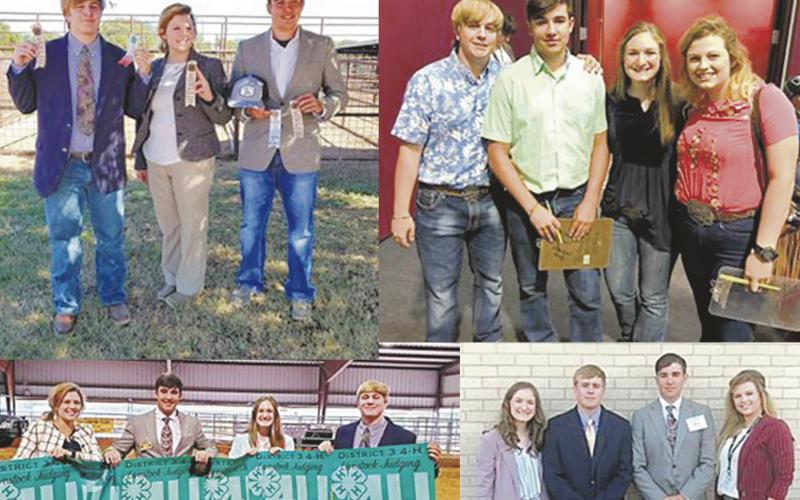 4-H Livestock Judging completes season virtually | The Graham Leader